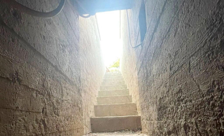 Couple discover World War II Nazi bunker underneath their home