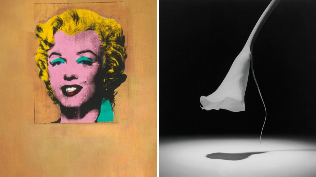 23 Artworks That Sparked Debate in the U.S.