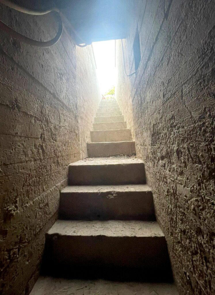 Couple discover World War II Nazi bunker underneath their home