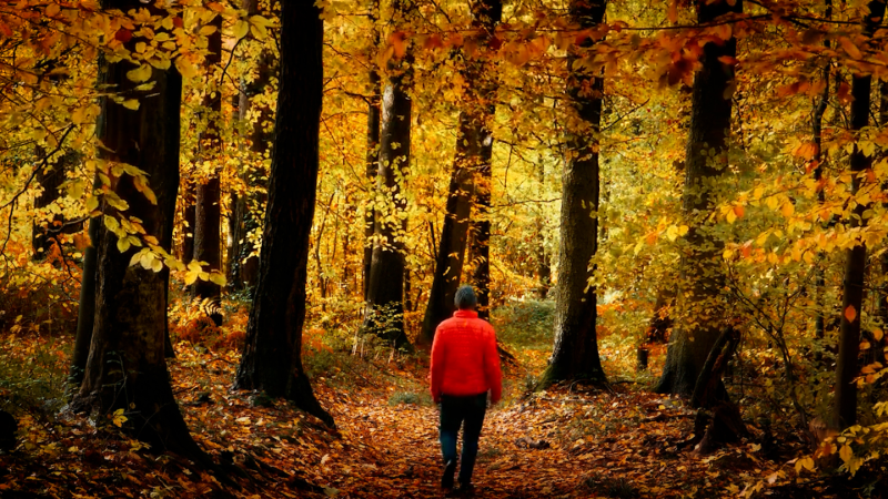 AccuWeather's 2025 fall forecast