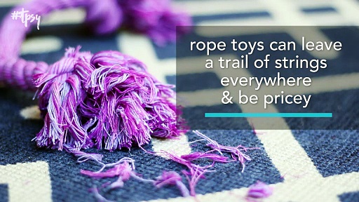 Your Dog Is Going to Go Crazy for These Homemade DIY Toys