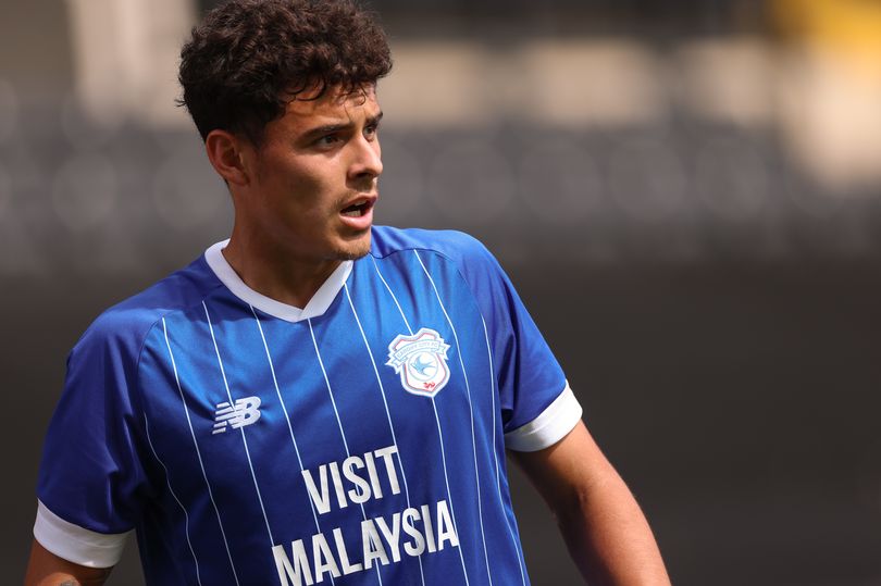 Tonight's Cardiff City news as Barry-Murphy delivers injury bulletin ...