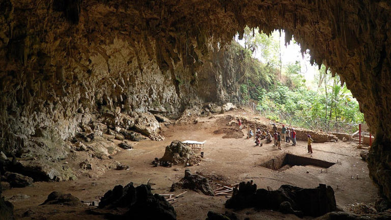 Mysterious extinct humans left tools near ‘hobbit’ island 1.04 million ...