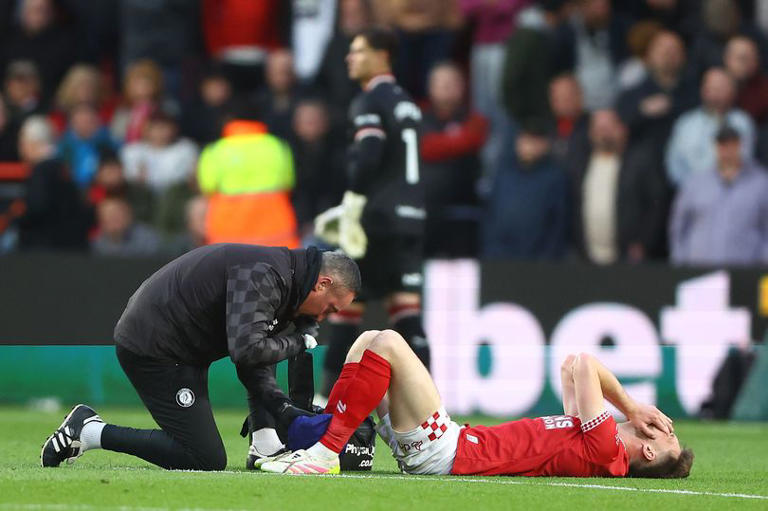 Joe Williams, Max Bird, Cam Pring: Bristol City injury news ahead of ...