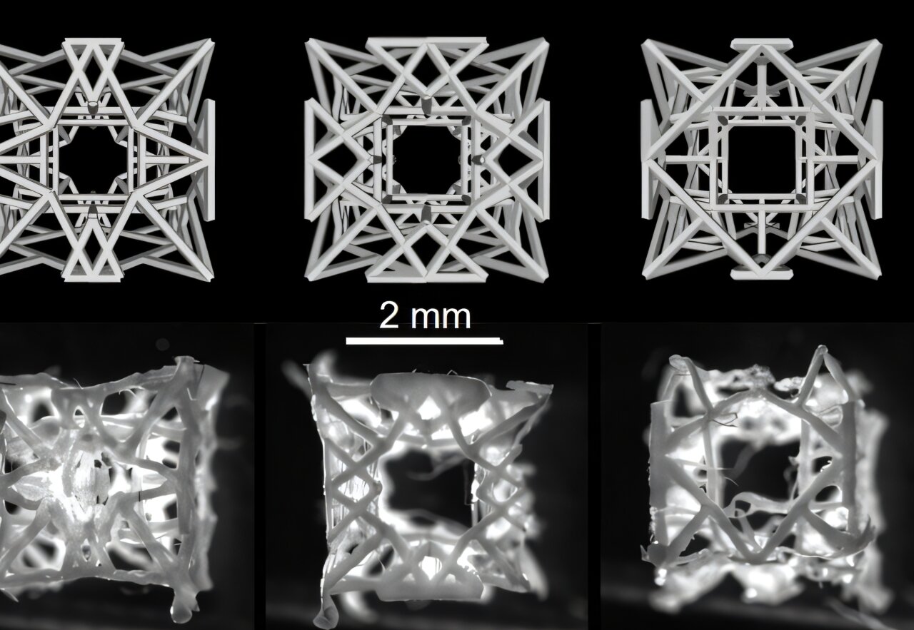 3D-printed cardiac patch encourages tissue repair using structural mesh ...