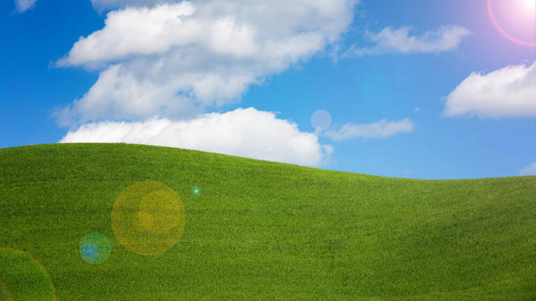 Microsoft hoping to knock users' socks off with Windows XP Crocs