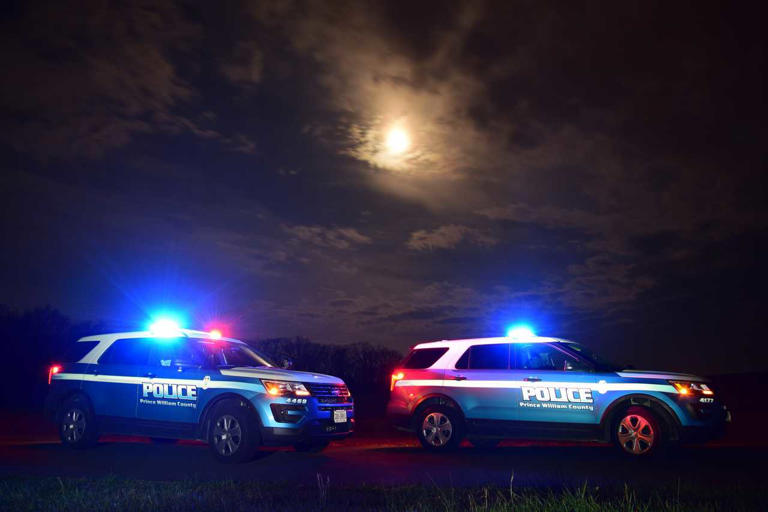 Wrong-way driver triggers deadly chain-reaction crash killing Virginia ...