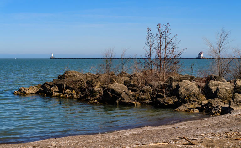Hazardous bacterial bloom hitting US lakes is a danger to people and ...