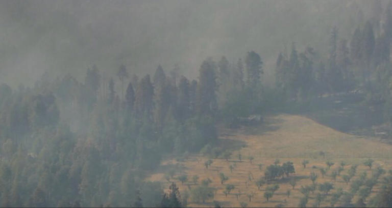 Billy Fire grows in Gila County; crews report slight containment loss