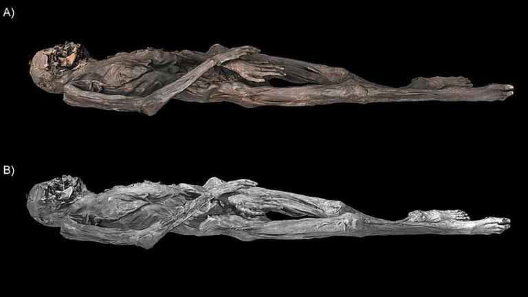 Extraordinary ancient tattoo art uncovered on 2300-year-old ice mummy ...