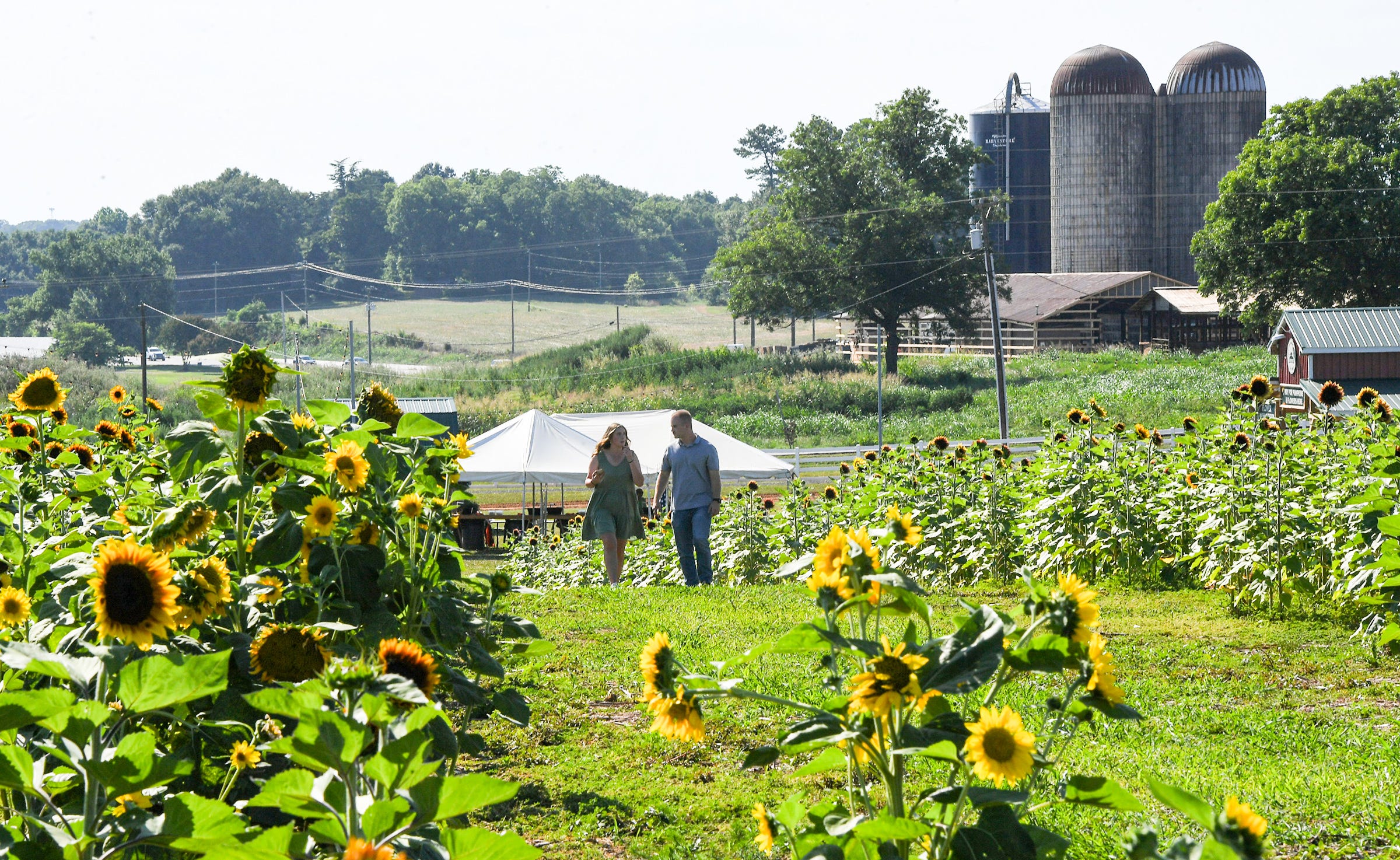 This Upstate farm was named a Tripadvisor Travelers' Choice Award ...