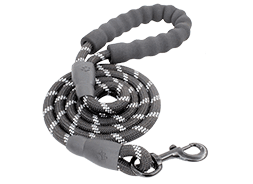 Best Dog Leashes