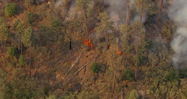 Billy Fire grows in Gila County; crews report slight containment loss