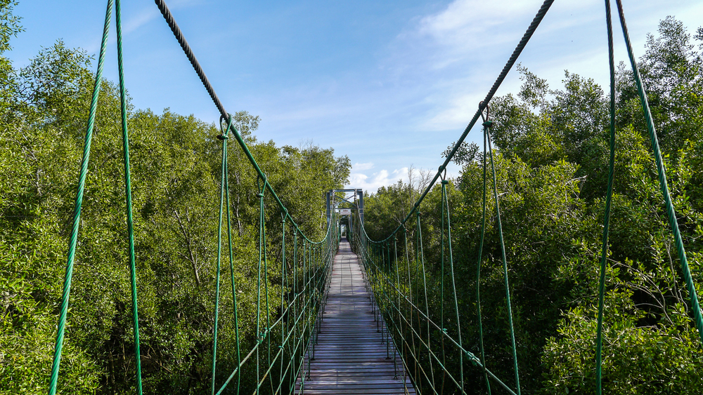 National Avocado Day: 16 Tropical Destinations Where Avocados Grow Wild