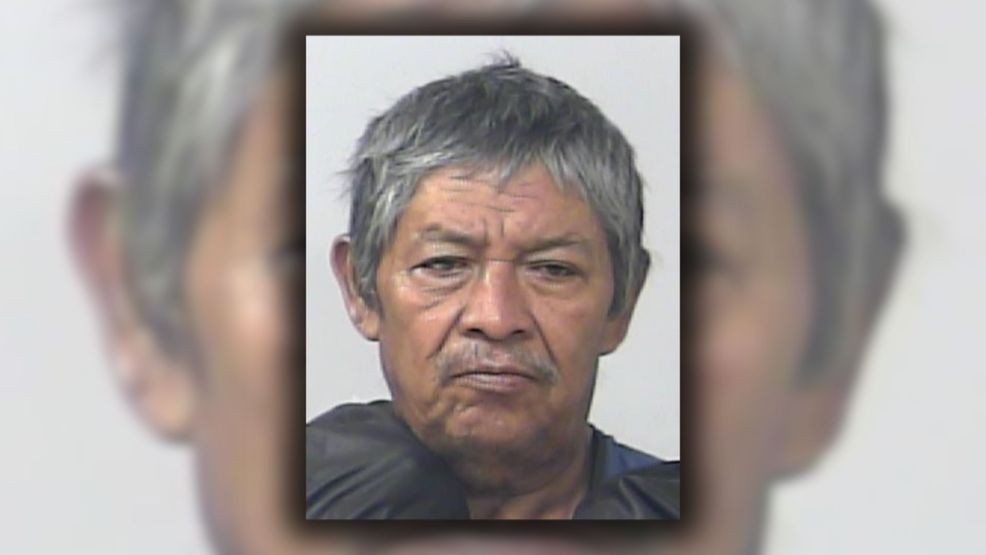 Dog allegedly hung from tree and beaten with stick in St. Lucie County