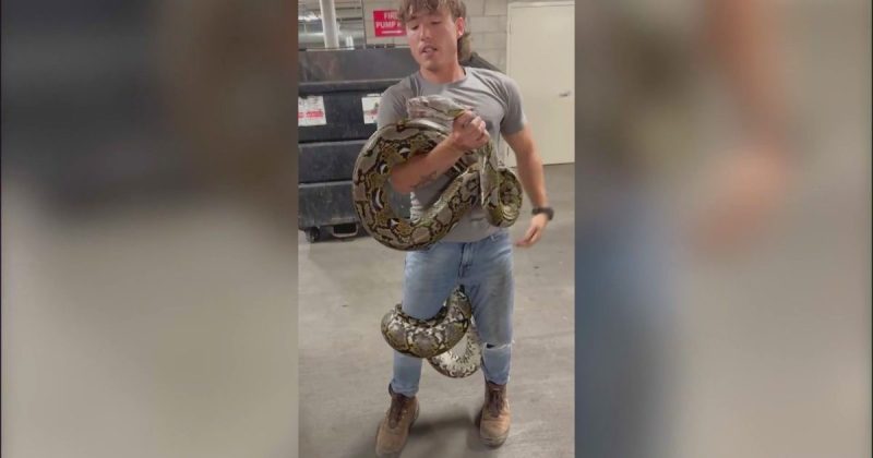20-foot python found in dumpster in downtown Los Angeles apartment complex