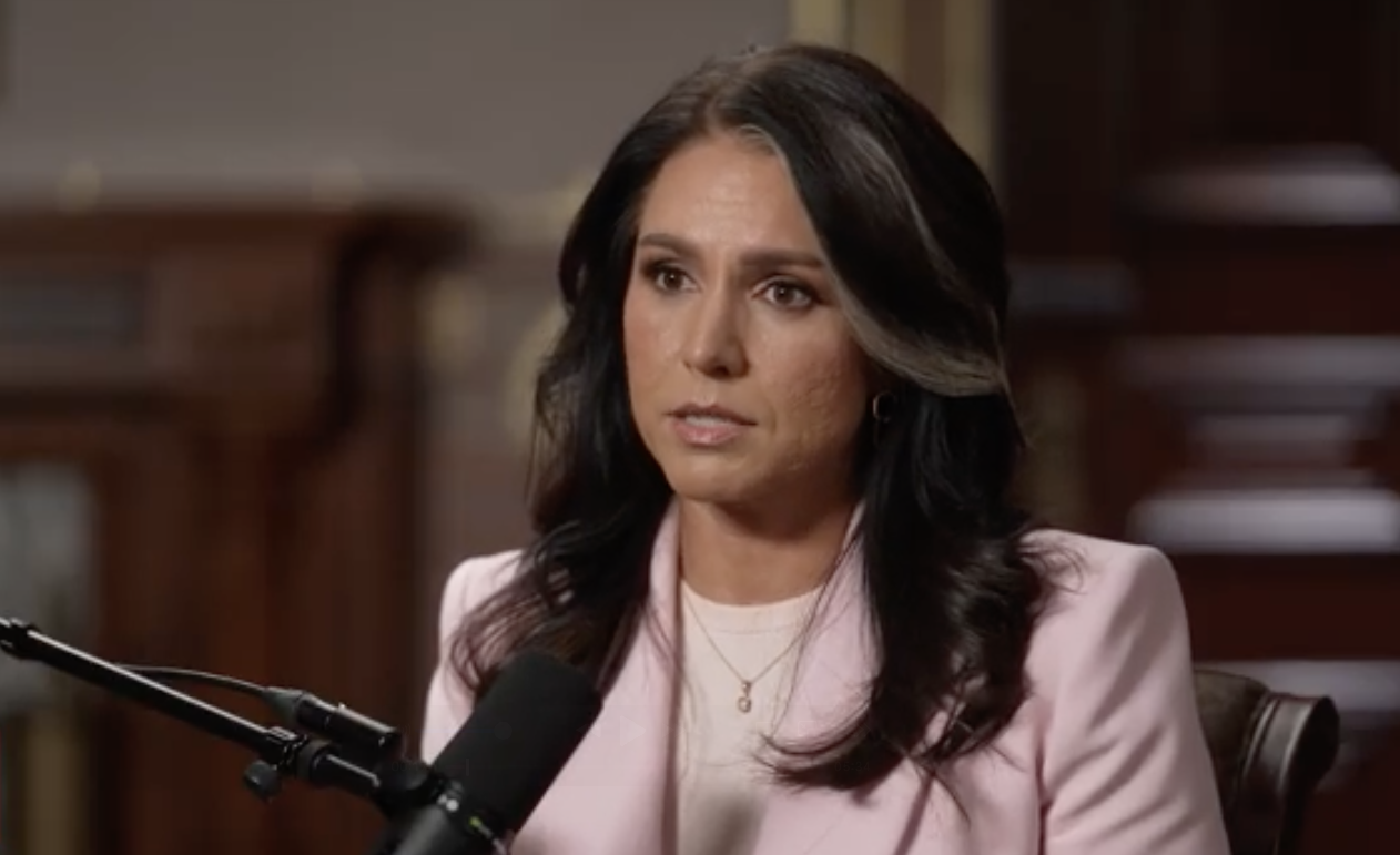 'We Are Doing The Tough Work': Tulsi Gabbard Makes A Fool Of Herself ...