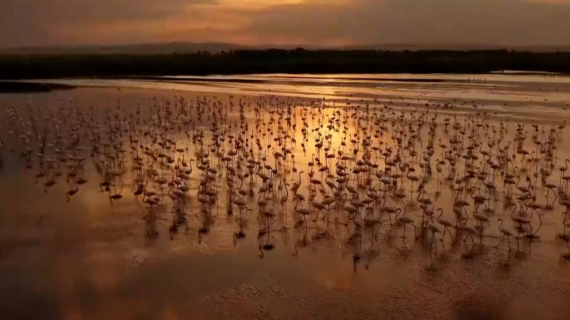 The Perfect Shot: Stunning Sunset Shines