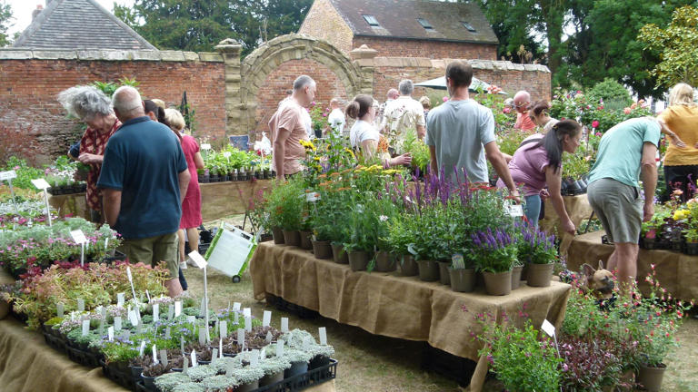 Popular Plant Fair returns to Middleton Hall & Gardens on Sunday 17th ...