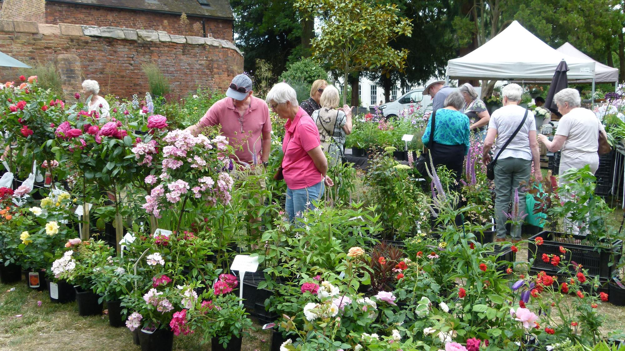 Popular Plant Fair returns to Middleton Hall & Gardens on Sunday 17th ...