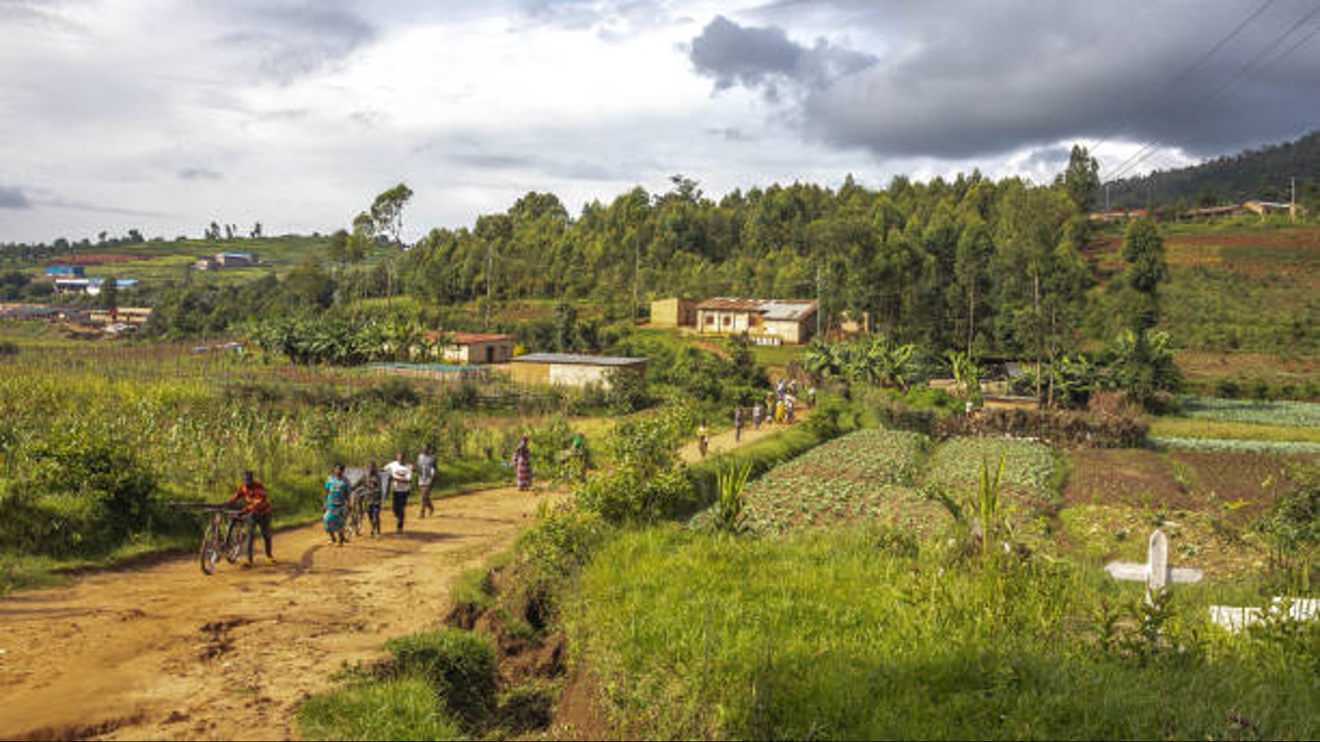 Rwanda Agrees To Take 250 Migrants Deported From The US.