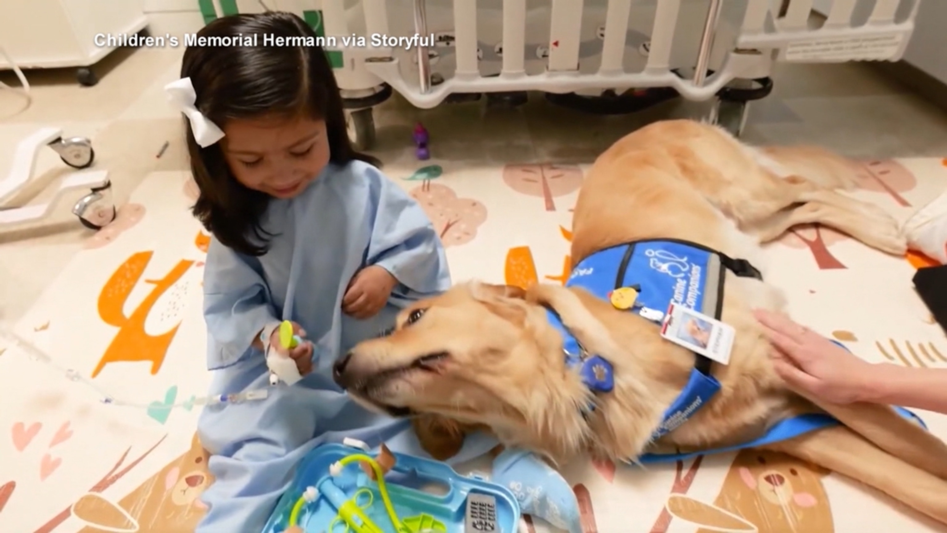Caring canines making a difference at children's hospital