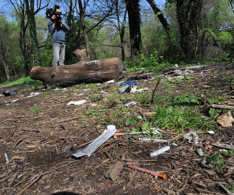 Sorpreso a scavalcare la recinzione nel bosco della droga di Rogoredo ...