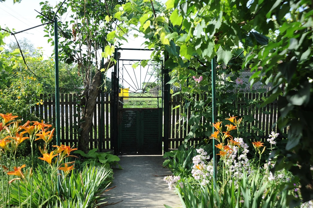 7 Common Gardening Tricks That Could Land You a Hefty Fine