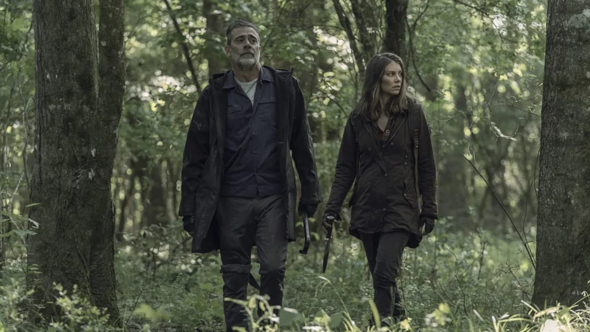 How to watch The Walking Dead franchise in order (release and ...