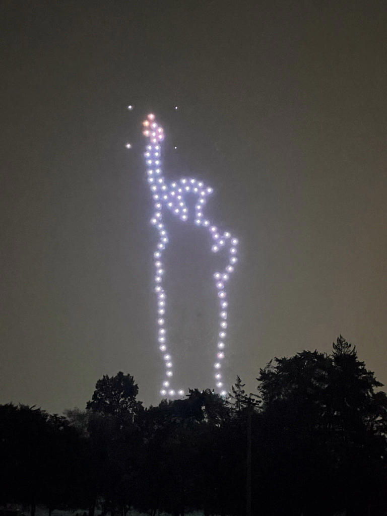 Drone Show Highlights Horsham National Night Out: Photos