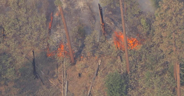 Billy Fire grows in Gila County; crews report slight containment loss