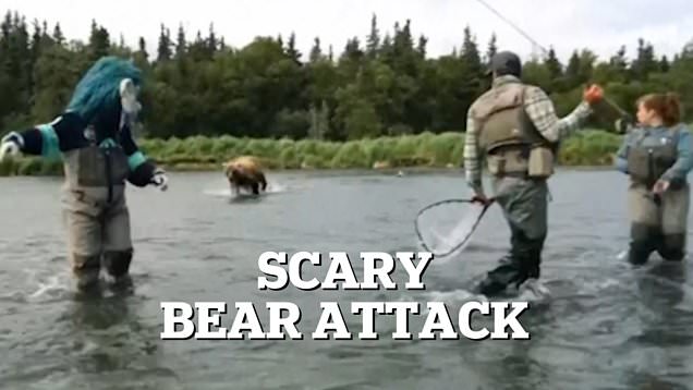 Horrifying moment bear charges at hockey star and mascot