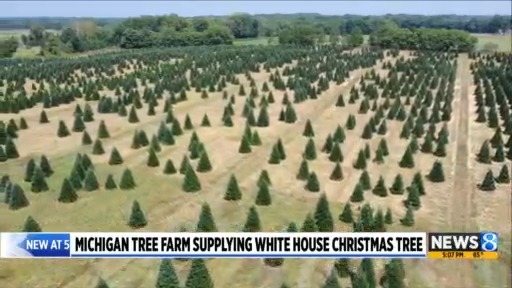 Michigan tree farm supplying White House Christmas trees