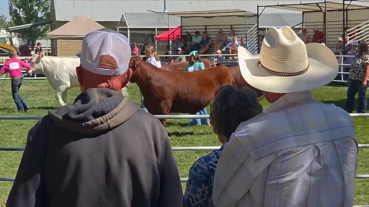 Jerome County Fair and Rodeo continues to delight, 105 years later