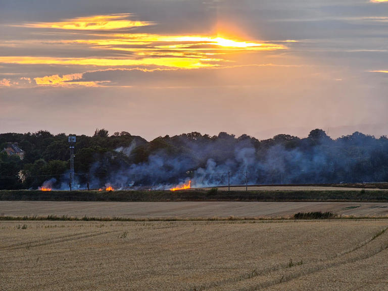 Fire crews battling huge grass fire in Musselburgh called to another ...