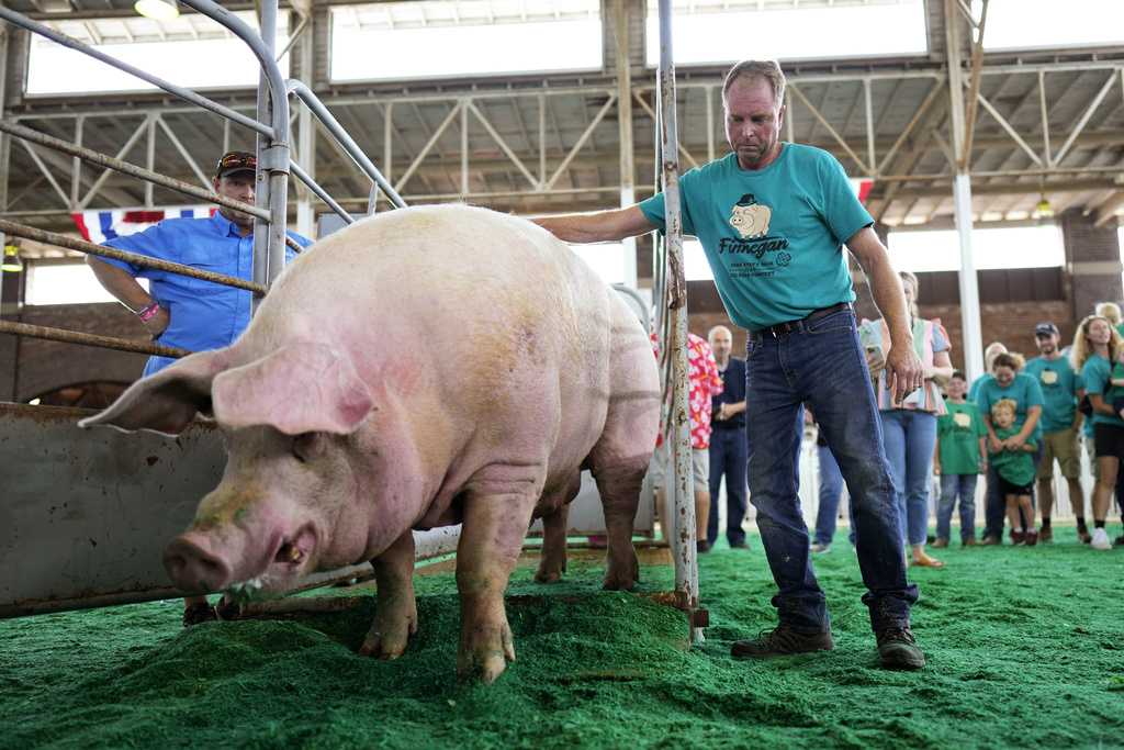 Day 1 guide to the Iowa State Fair: All events back on schedule after ...