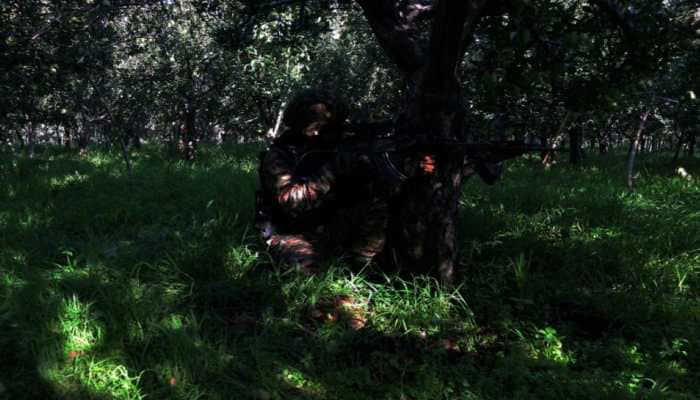 Inside Operation Akhal – India’s Biggest Forest-Based Offensive To ...