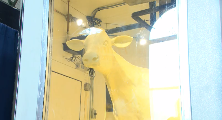 Udderly fantastic: Illinois unveils 2025 butter cow