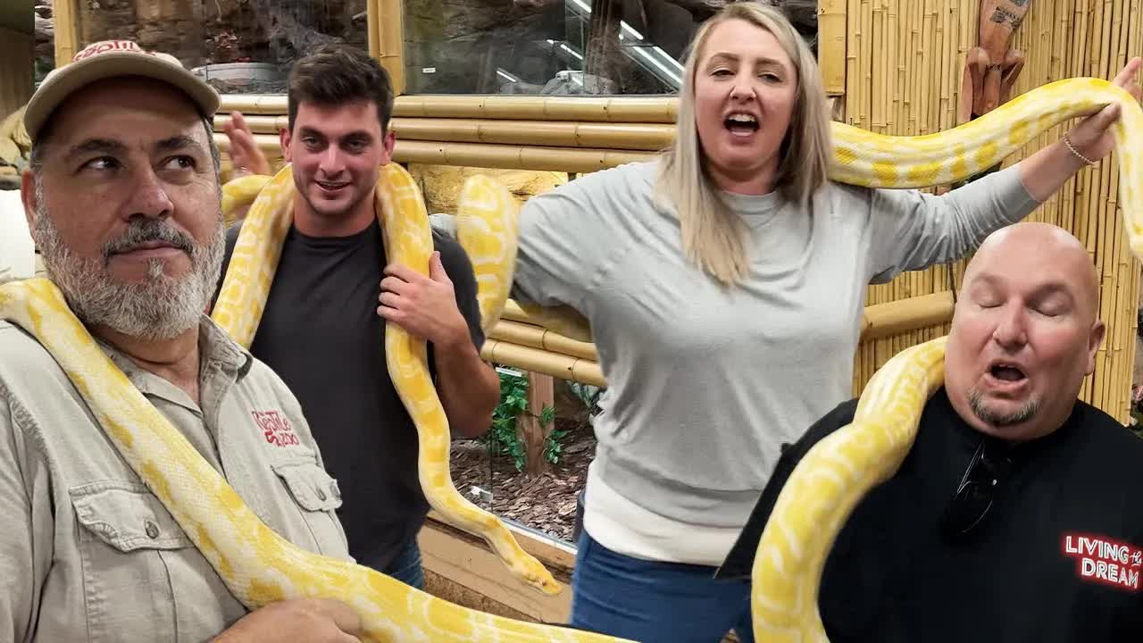 Showing My Friends why Snakes are Amazing