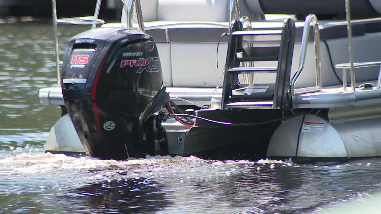 Some residents push for enhanced manatee protection measures in parts ...