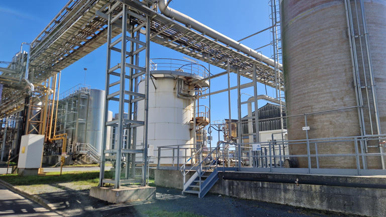 How Europe is vying for rare earth independence from China