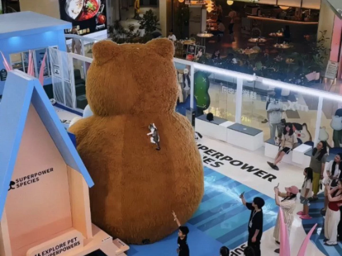 Gato é flagrado escalando urso de pelúcia gigante em shopping na Ásia