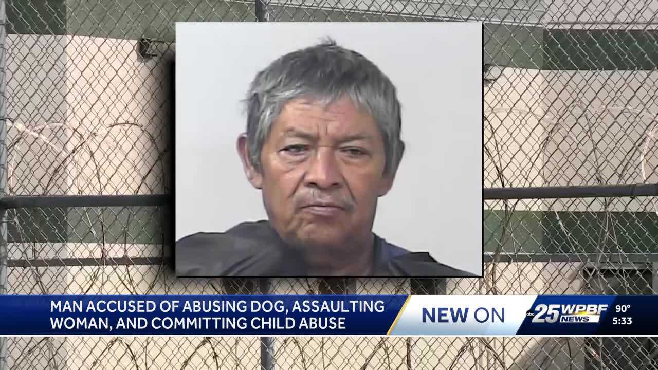 Man accused of hanging, beating dog because it 'didn't know commands in ...
