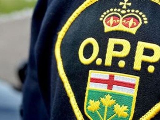 St. Catharines man faces 9 charges in Niagara rock-throwing incidents