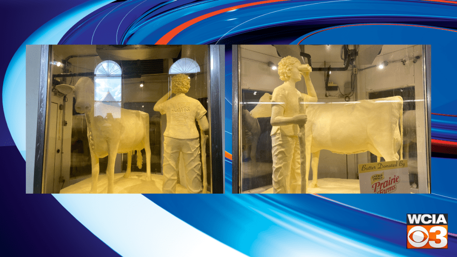 Udderly fantastic: Illinois unveils 2025 butter cow