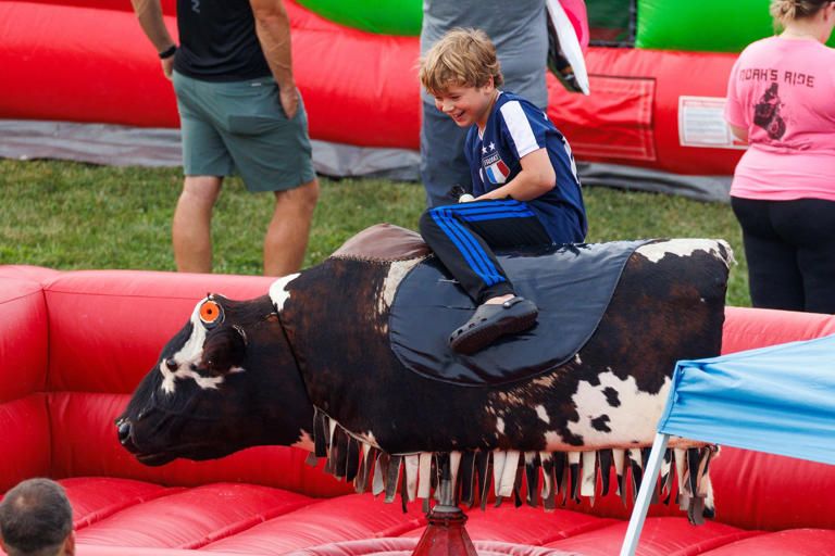 S.A.V.E.S. celebrates 20 years during Conewago Township's inaugural ...