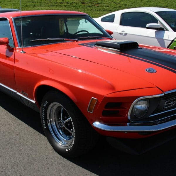 10 Mustangs So Rare They’ve Escaped Even the Biggest Fans