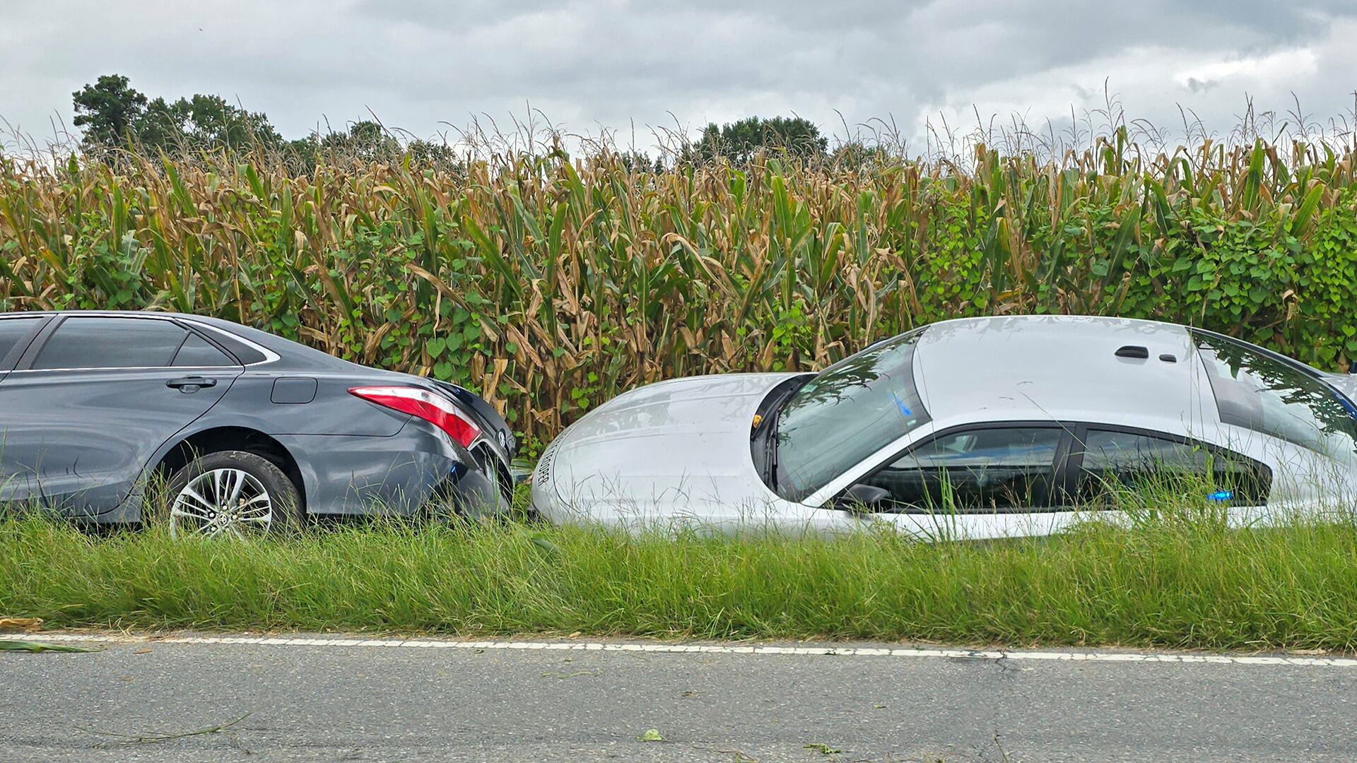 Teen In Custody After Stolen Car Chase Ends With Crash Inside Wayne County