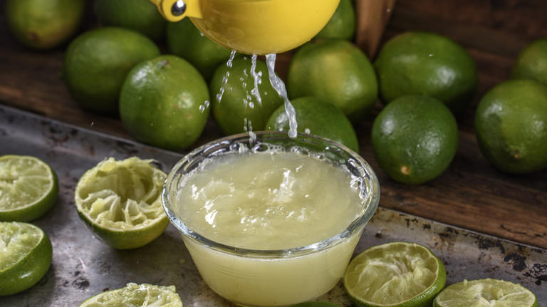 Don't Believe The Key Lime Snobs, Bottled Juice Is Just Fine