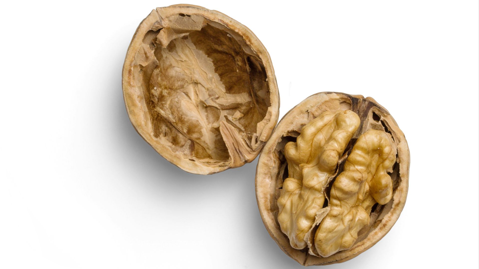 20 Healthy Nuts & Seeds That Are Good For You